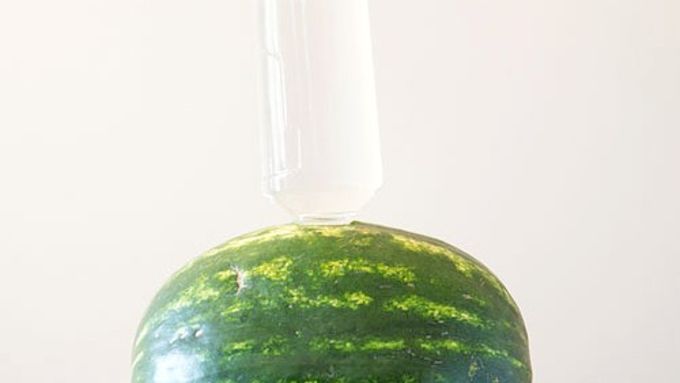 Vodka-Infused Watermelon Recipe - Tablespoon.com