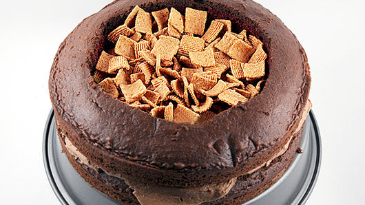 I Want S'more Cake Recipe - Tablespoon.com