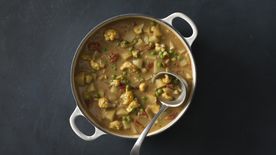 Vegetarian Indian Stew Recipe - BettyCrocker.com